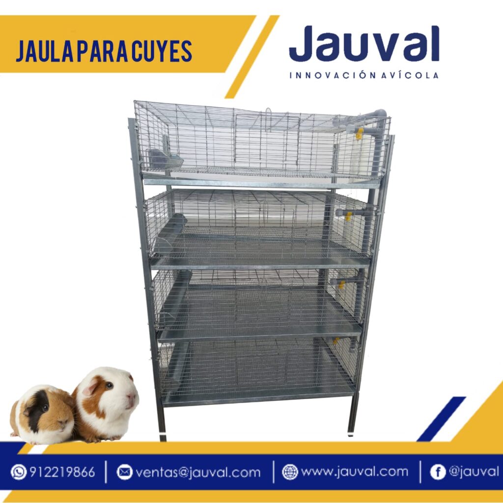 JAUVAL WEB – JAUVAL innovación avícola, somos una empresa especializada ...
